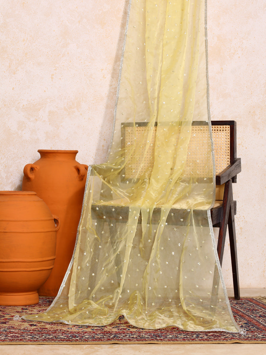 Aarushi x Tyohaar | Sequined Light Yellow Organza Dupatta – Binks
